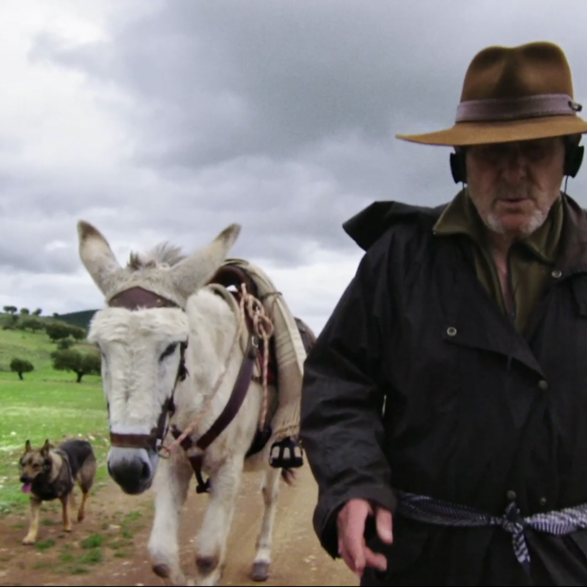 Donkeyote - a documentary film distributed by Blue Penguin Film